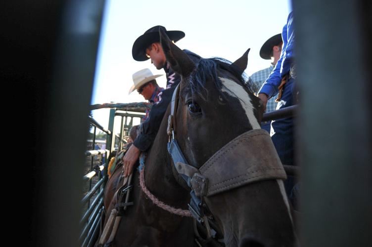2015 Sedro-Woolley Rodeo | Gallery | goskagit.com