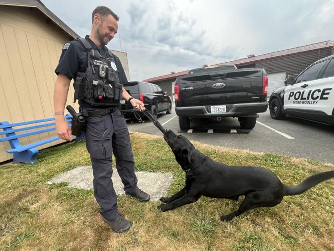 Sedro-Woolley Police Department with a K9 unit for the first time ...