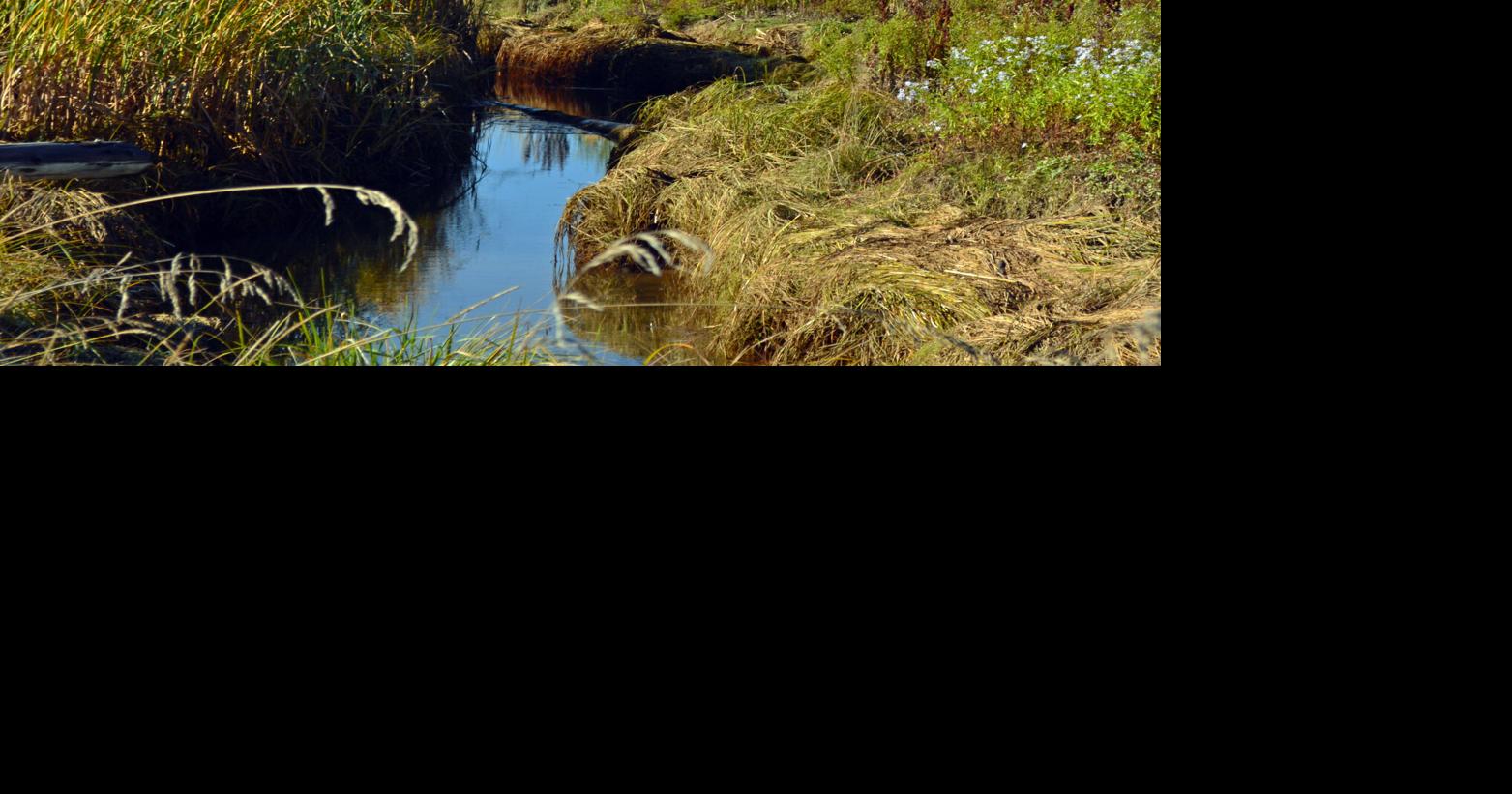 Photos: Skagit Views | Gallery | goskagit.com