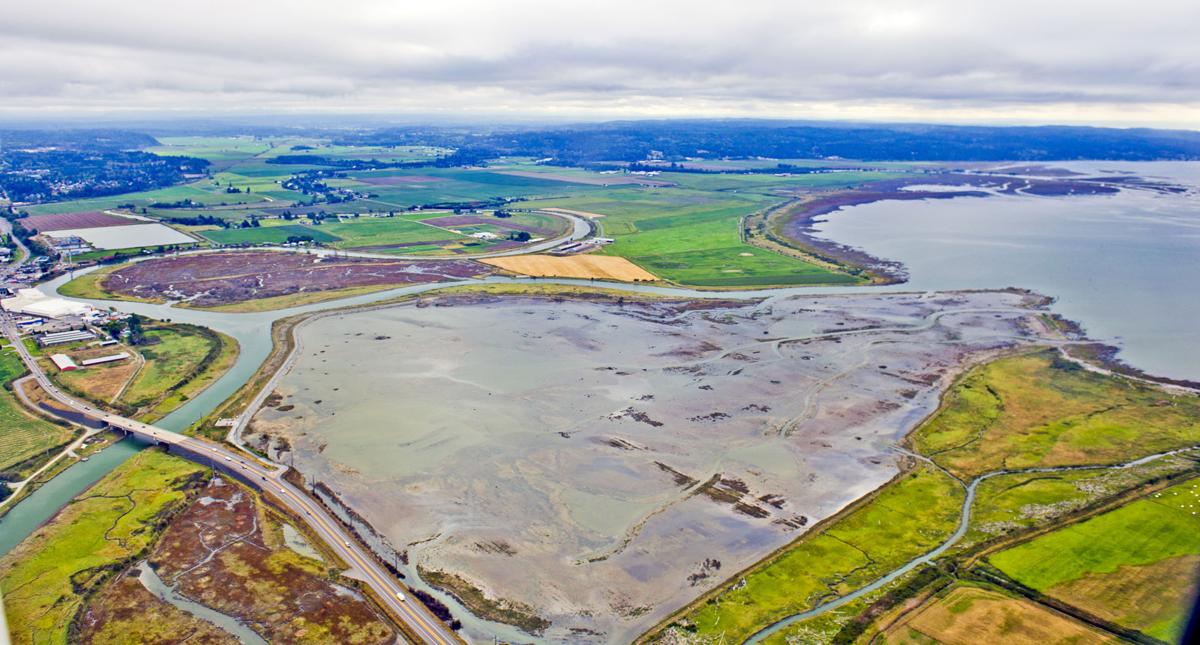 Healing a habitat: Leque Island estuary comes a long way in year since ...