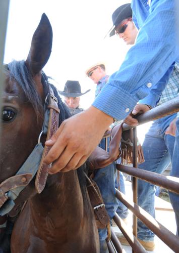 2015 Sedro-Woolley Rodeo | Gallery | goskagit.com
