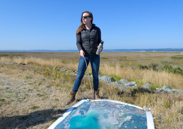 Study in Port Susan shows wetland restoration increases carbon ...