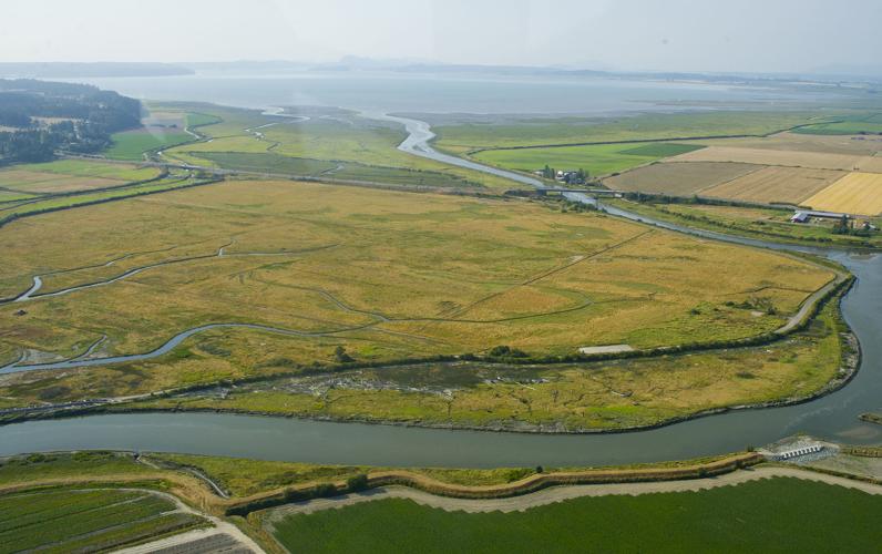 Second phase of Leque Island restoration slated for summer | News ...