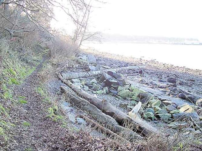 Guemes Channel Trail starts to take shape | News | goskagit.com