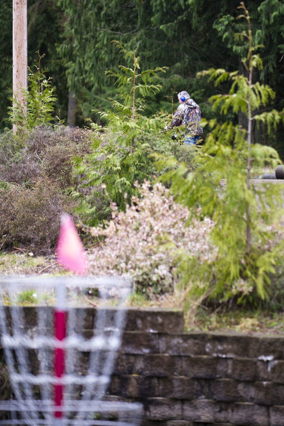 Local group proposes reopening Kayak Point Golf Course as new disc golf ...