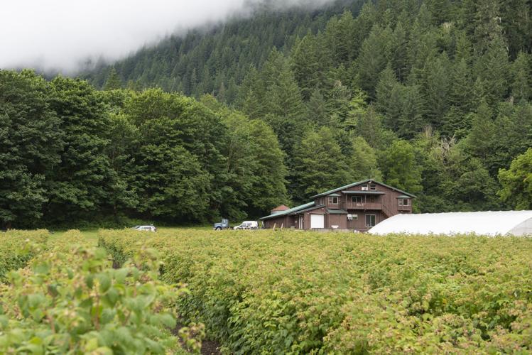 New owner of Cascadian Farm wants it to make it an education hub ...