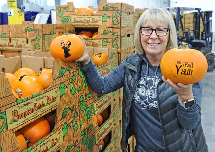 Bay Baby Produce bringing new value to pumpkins | Local News | goskagit.com