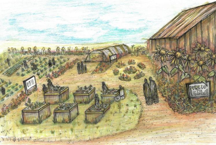 Puget Sound Public Farms starting community garden at Ovenell property ...