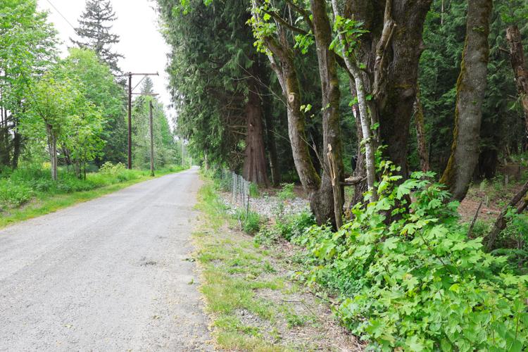 Town of Hamilton critical of Home Trust of Skagit's development plan ...