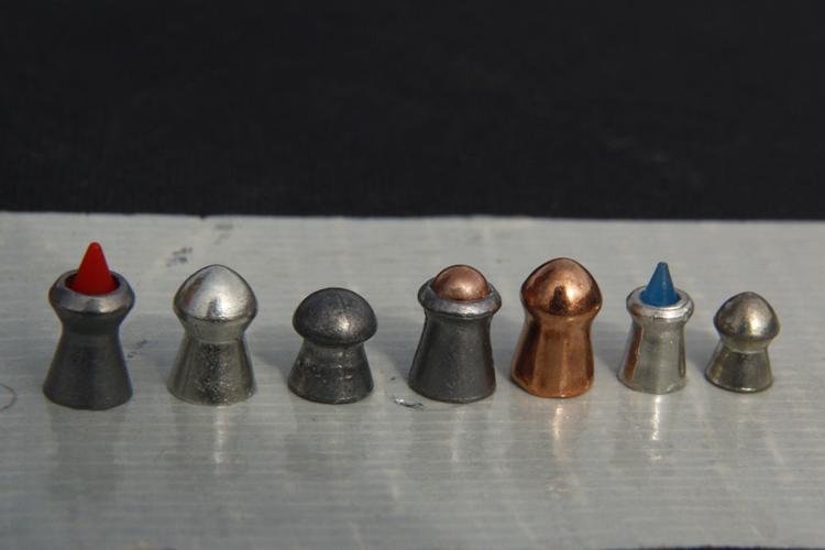 Airgun 101 | Northwest | goskagit.com