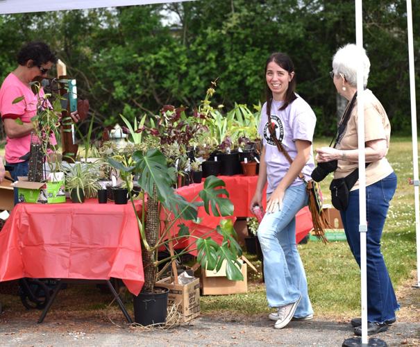 Stanwood-Camano spring markets draw shoppers, support local causes | SC ...