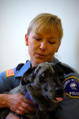 Sedro-Woolley hires new code enforcement officer | News | goskagit.com