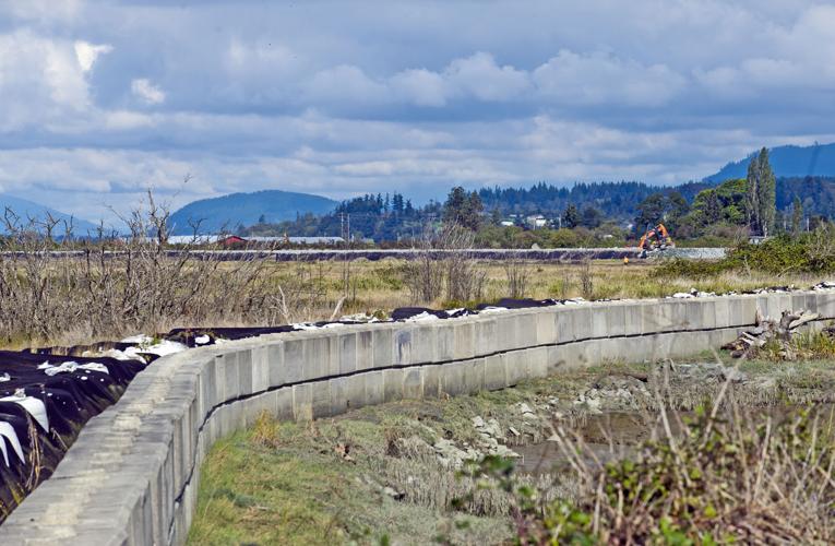 Photo Gallery: Leque Island restoriation project, 9.18.19 | Gallery ...