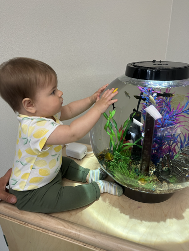 Community Resource Center's early learning programs flourish in ...