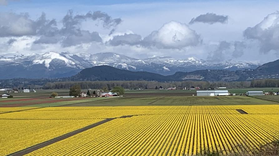 3-23 Skagit Views | Living | goskagit.com