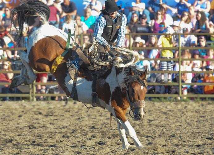 2015 Sedro-Woolley Rodeo | Gallery | goskagit.com