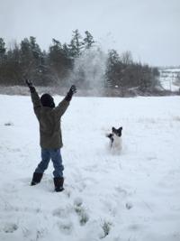 Submitted snow photos | Gallery | goskagit.com