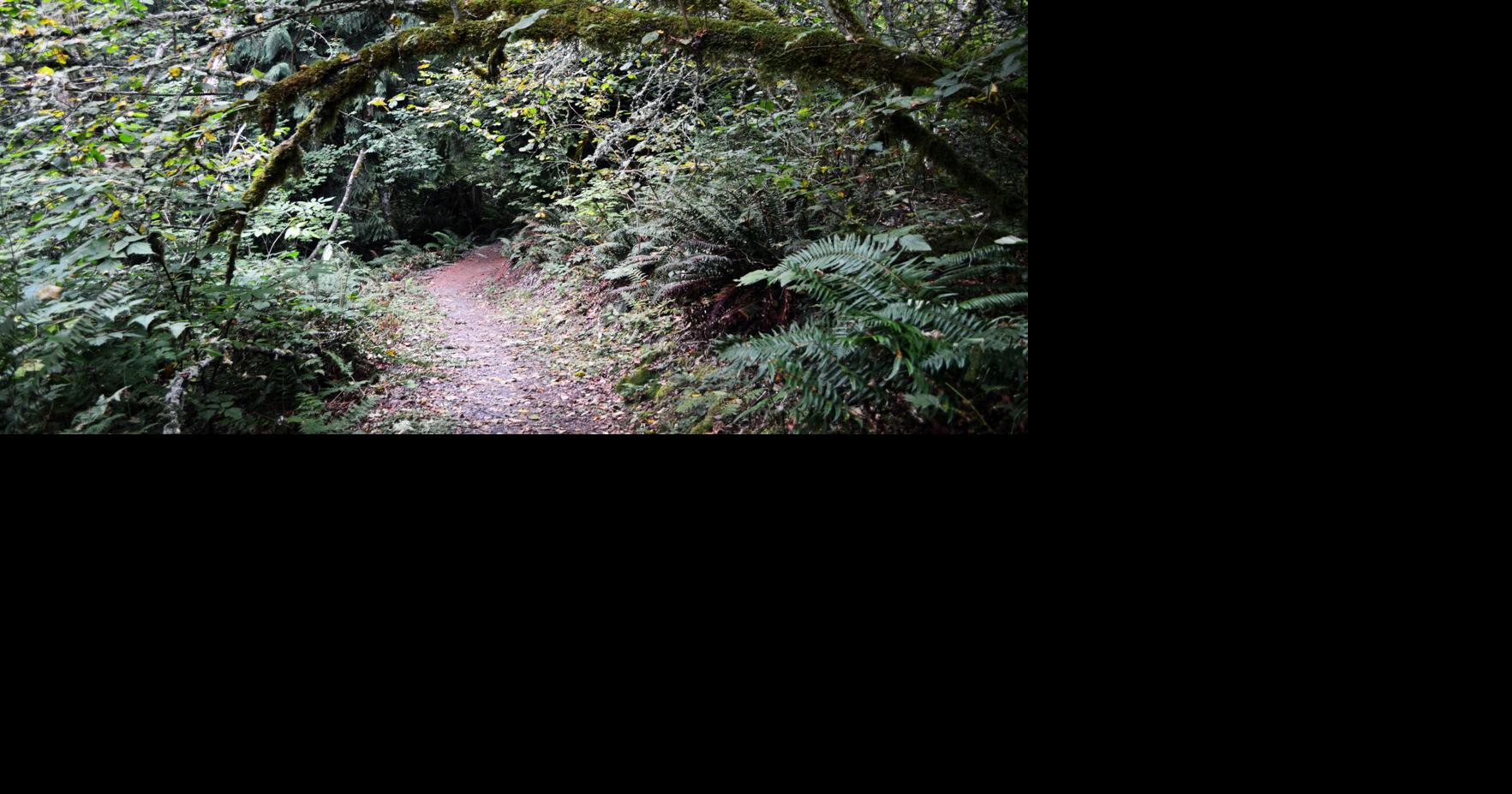 11-02 Skagit Views | Living | goskagit.com
