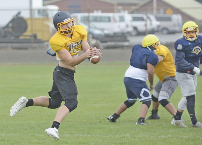 2018 Prep Football Preview: Burlington-Edison Tigers | Sports ...