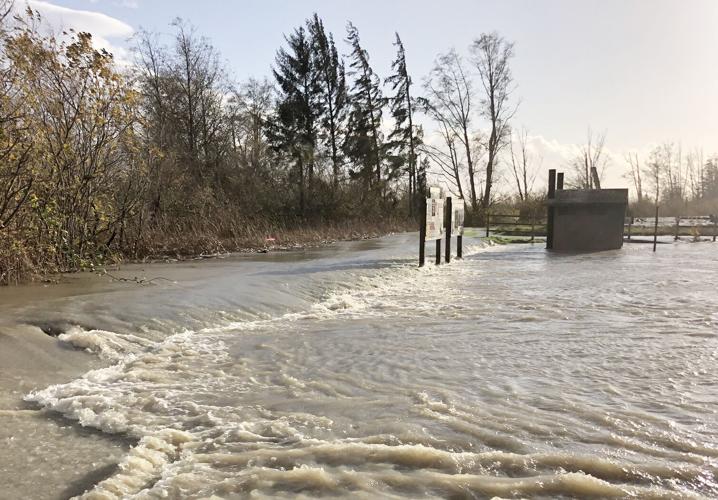 Dike work begins at Skagit Wildlife Area Headquarters Unit | Fruit ...