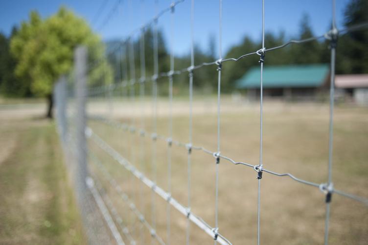 Landowners, Fish and Wildlife team up to take on elk | Environment ...