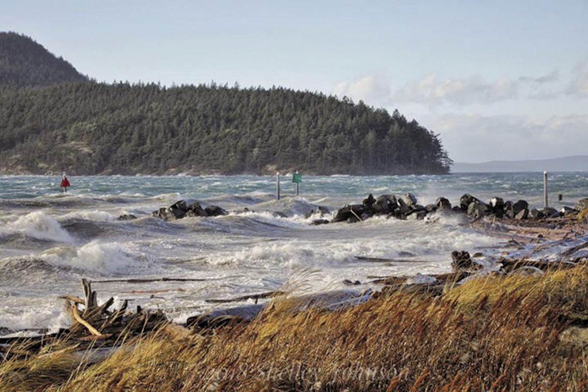 High winds howl through region, cause damage | News | goskagit.com