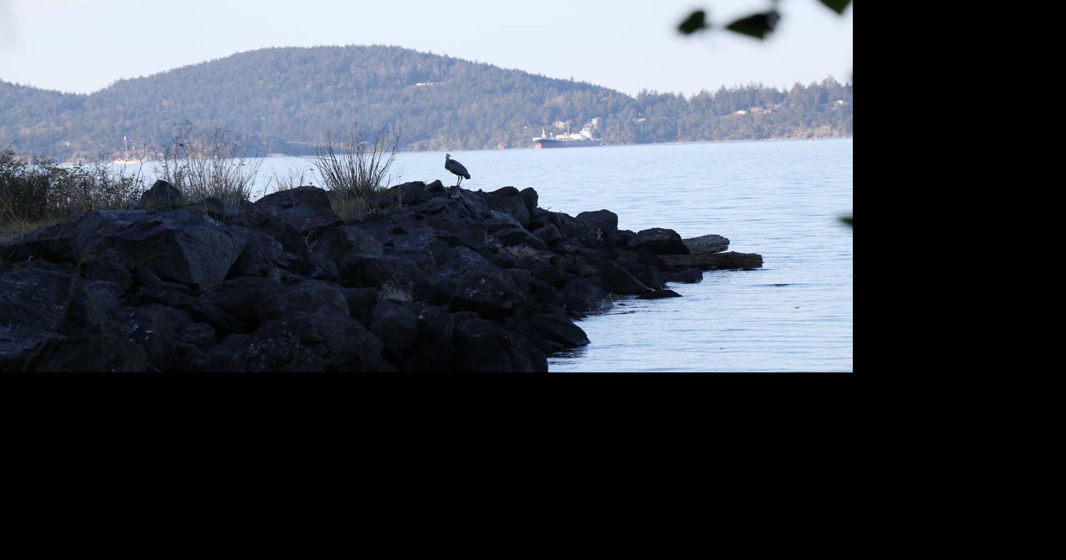 Family-friendly fun at Fidalgo Bay Day | 360 | goskagit.com