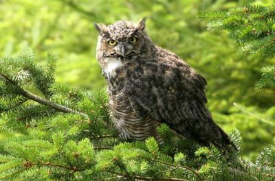 Land trust calendar photo contest wants best outdoor shots | News ...