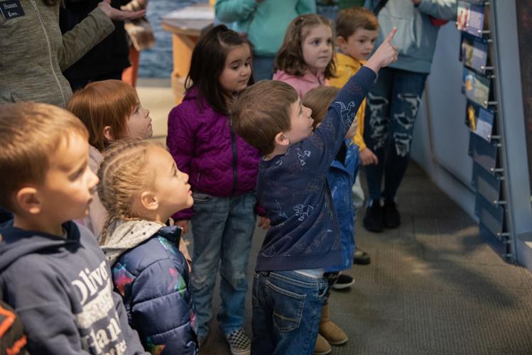 Touch pools prove popular at Breazeale Interpretive Center | Education ...
