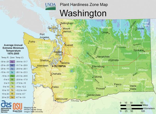 Climatic Transition | All Access | goskagit.com