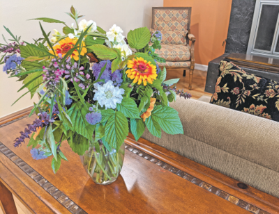 New Earth Recovery offers healing through connection | Giving Guide ...