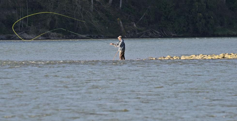 Fishermen enjoy short Skagit River steelhead season | News | goskagit.com