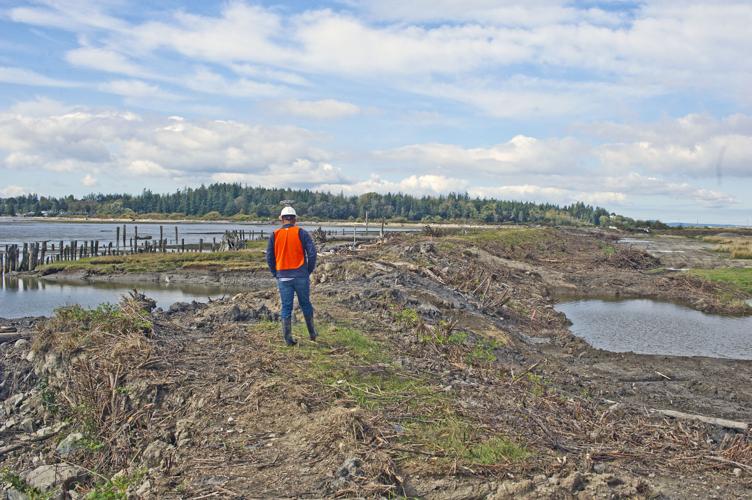 Photo Gallery: Leque Island restoriation project, 9.18.19 | Gallery ...