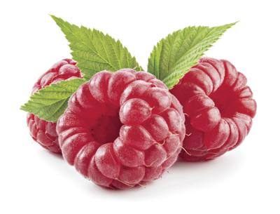 Northwest Raspberry Festival in Lynden | 360 | goskagit.com