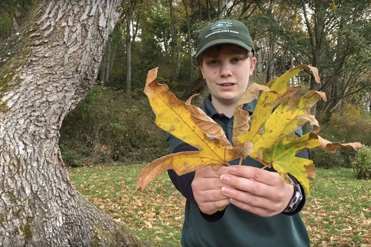 After tough pandemic year, Cama Beach Foundation celebrates a win ...