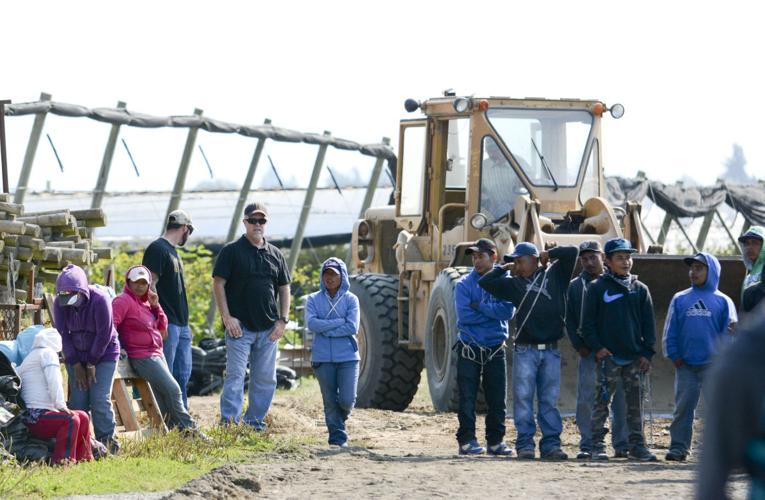 Sakuma Workers Go On Strike | Gallery | goskagit.com