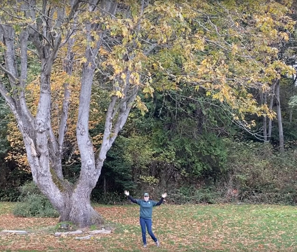 After tough pandemic year, Cama Beach Foundation celebrates a win ...