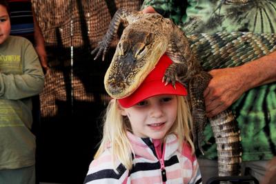 Reptile Man brings in a crowd in Anacortes | News | goskagit.com