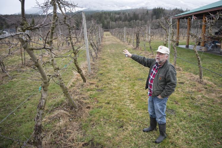 Eagle Haven Winery excited to add to vineyard, orchard | Fruit Farming ...