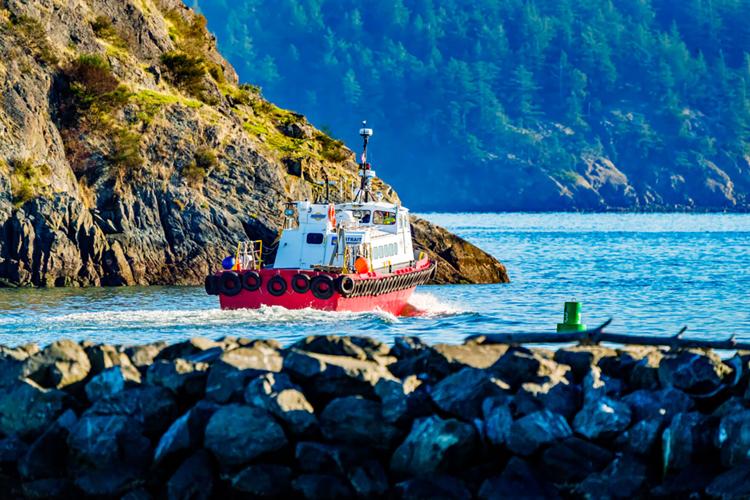 Skagit Views: Reflections on the water | Living | goskagit.com