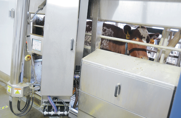 Moo-vie to show bright side of dairies | All Access | goskagit.com