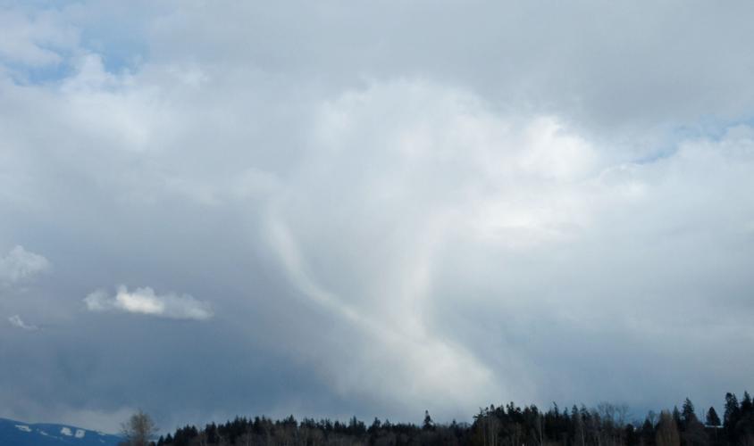 3-26: Sunday Snapshots | Photography | goskagit.com