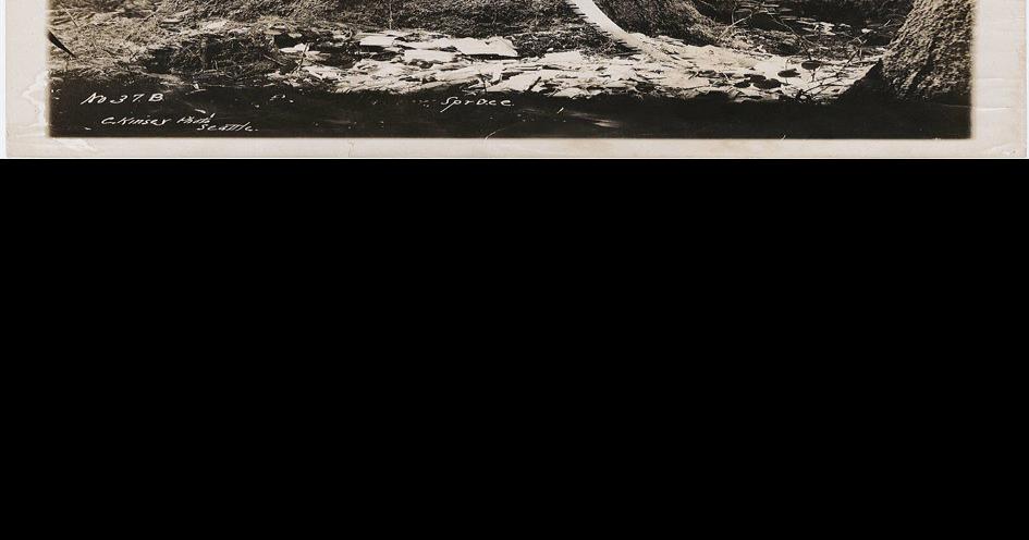 Tribute to Darius Kinsey and his iconic photos | 360 | goskagit.com