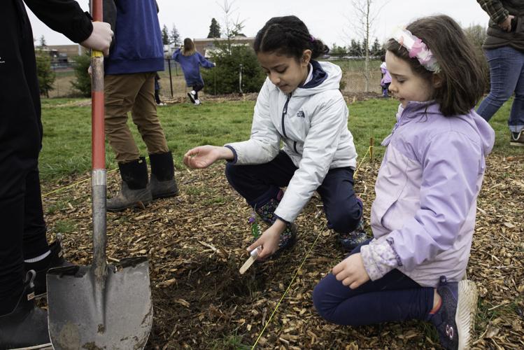 Students plant trees in tiny forest celebration | Education | goskagit.com