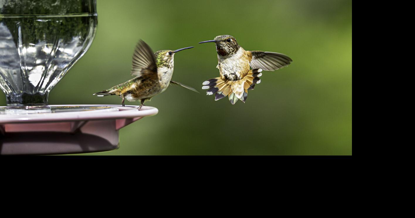 PHOTOS: Skagit Views | Gallery | goskagit.com