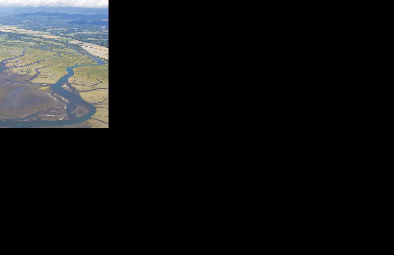 Photo gallery: Skagit Wildlife Area Island Unit, 2.26.21 | Gallery ...