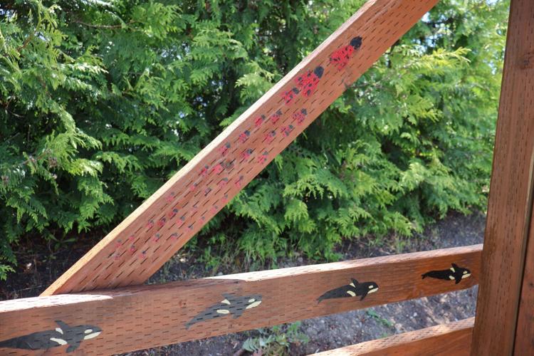 Anacortes High School student builds bus stop bench as Eagle Scout ...