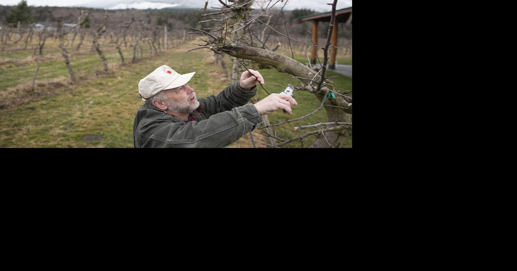 Eagle Haven Winery excited to add to vineyard, orchard | Fruit Farming ...