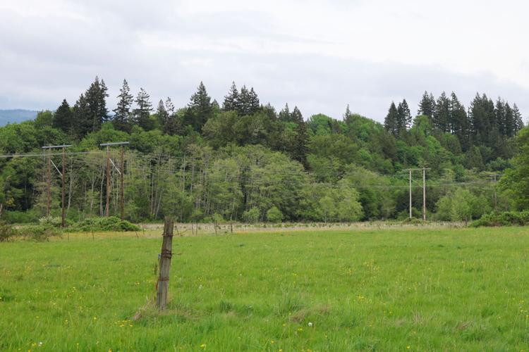 Town of Hamilton critical of Home Trust of Skagit's development plan ...