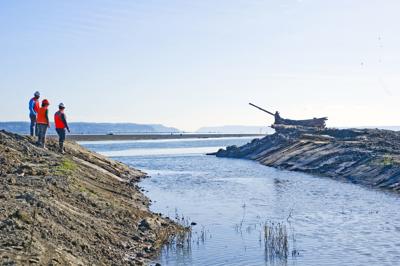 Leque Island restoration project reaches milestone | Local News ...